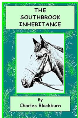 The Southbrook Inheritance 9781326642600| eBay