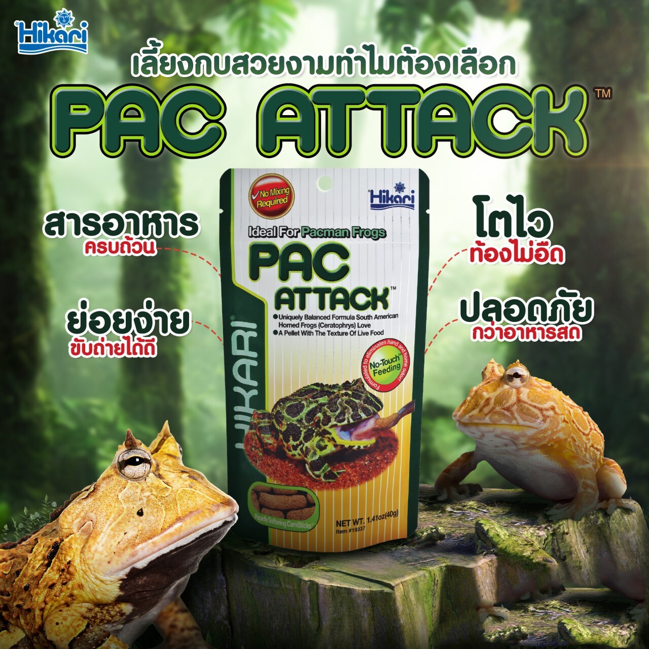 X3 Pcs Pacman Frog Food Pellet Ceratophrys Horned Frog Reptile Hikari ...