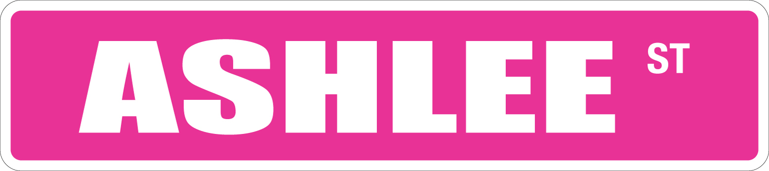 *Aluminum* Ashlee 4" x 18" Metal Novelty Street Sign SS 396 | eBay