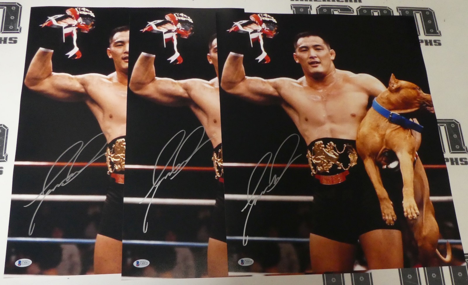 Enson Inoue Signed 16x20 Photo BAS COA UFC Pride FC Vale Tudo Japan ...