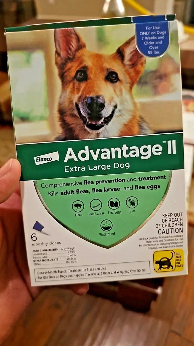 Flea Control Advantage Extra Large Dog Bayer Advantage Ii For Large ...