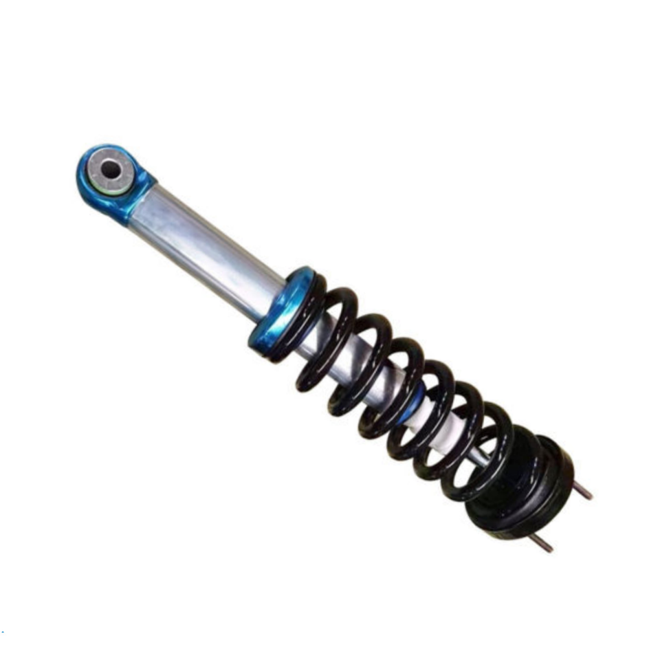 Front LH or RH Shock Strut Coil Spring Assembly For Ford F150 SVT STX ...