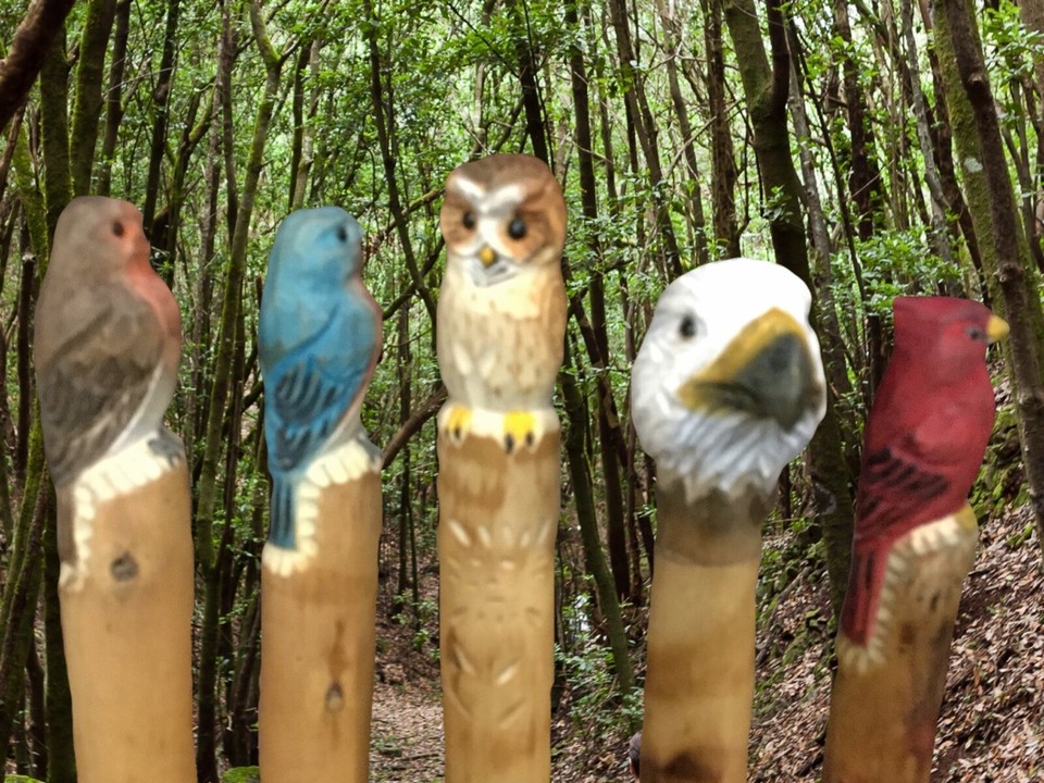 New Redbird Bluebird Owl Eagle Bear Walking Stick Cane Wood Hand Carved ...