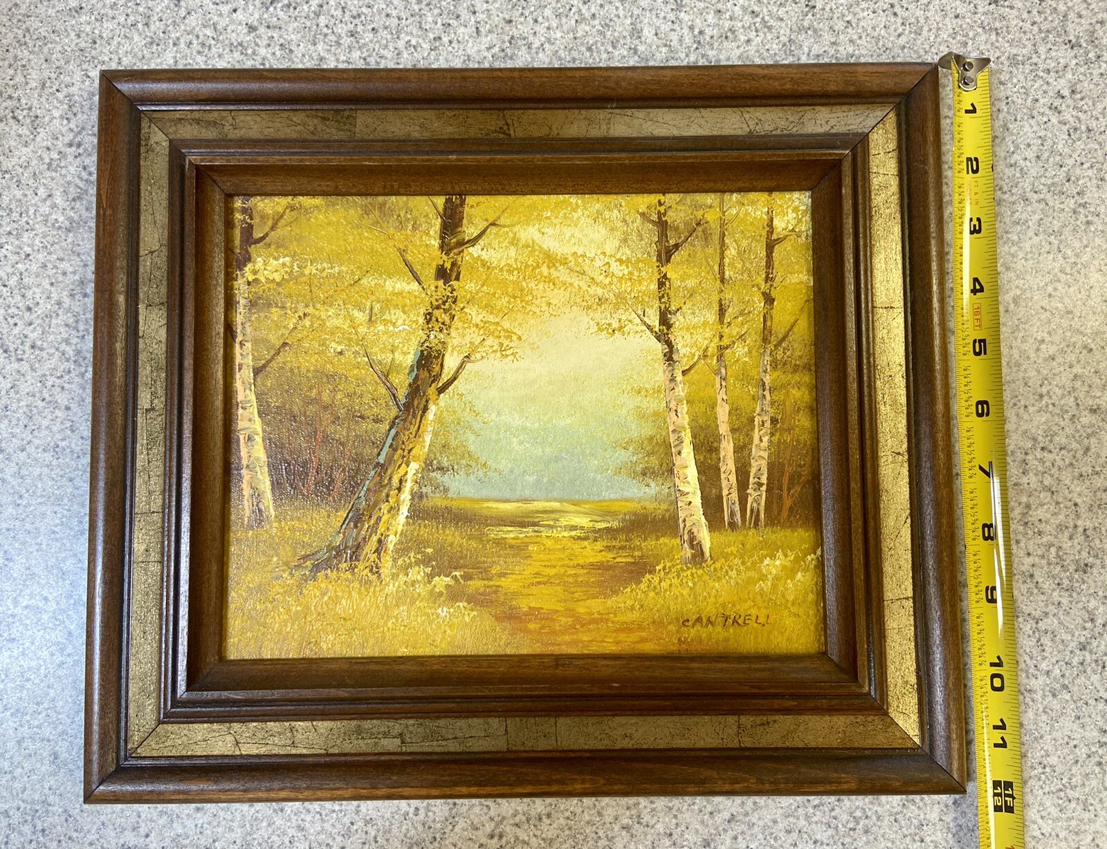 Phillip Cantrell Landscape Fall Trees Oil Painting 14 x 12 Framed ...