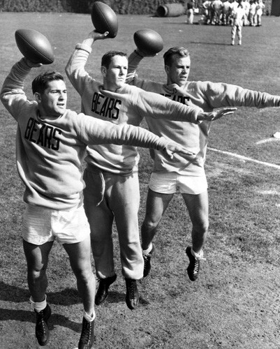 Chicago Bears Johnny Lujack, Bob Williams, Steve Romanik October 3 ...