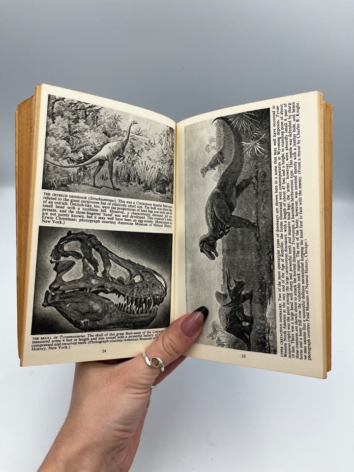 Man And The Vertebrates: 1 by A.S. Romer | eBay UK