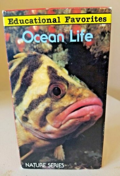 Trans-atlantic Video Nature Series Ocean Life Educational Favorites VHS ...