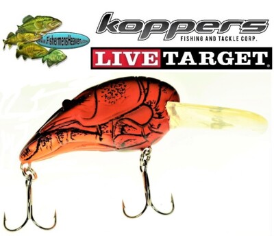 RARE Live Target Crankbait (C64M306) Medium Dive - Crawdad Red | eBay