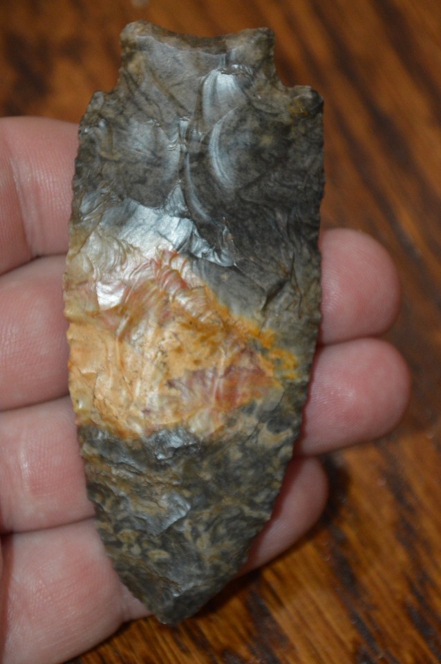 Colorful Gray & Black Chert Archaic Benton Cheatham Co, Tennessee 3.5/8 ...