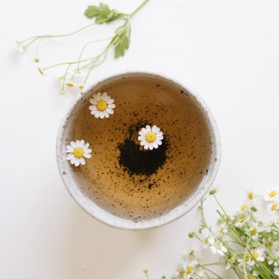 Feverfew Tincture Extract Liquid Santa Maria | eBay