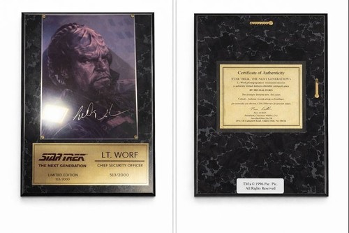 MICHAEL DORN *Lt. Worf* Signed 8x10 *PSA Auth* Photo Plaque *STAR TREK ...