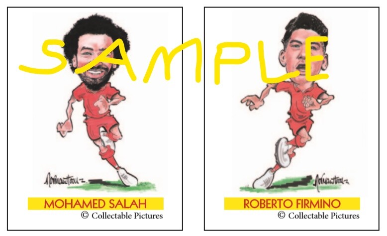 LIVERPOOL FC TRADE CARD SET 2019 - CHAMPIONS LEAGUE-20 Card Set ...