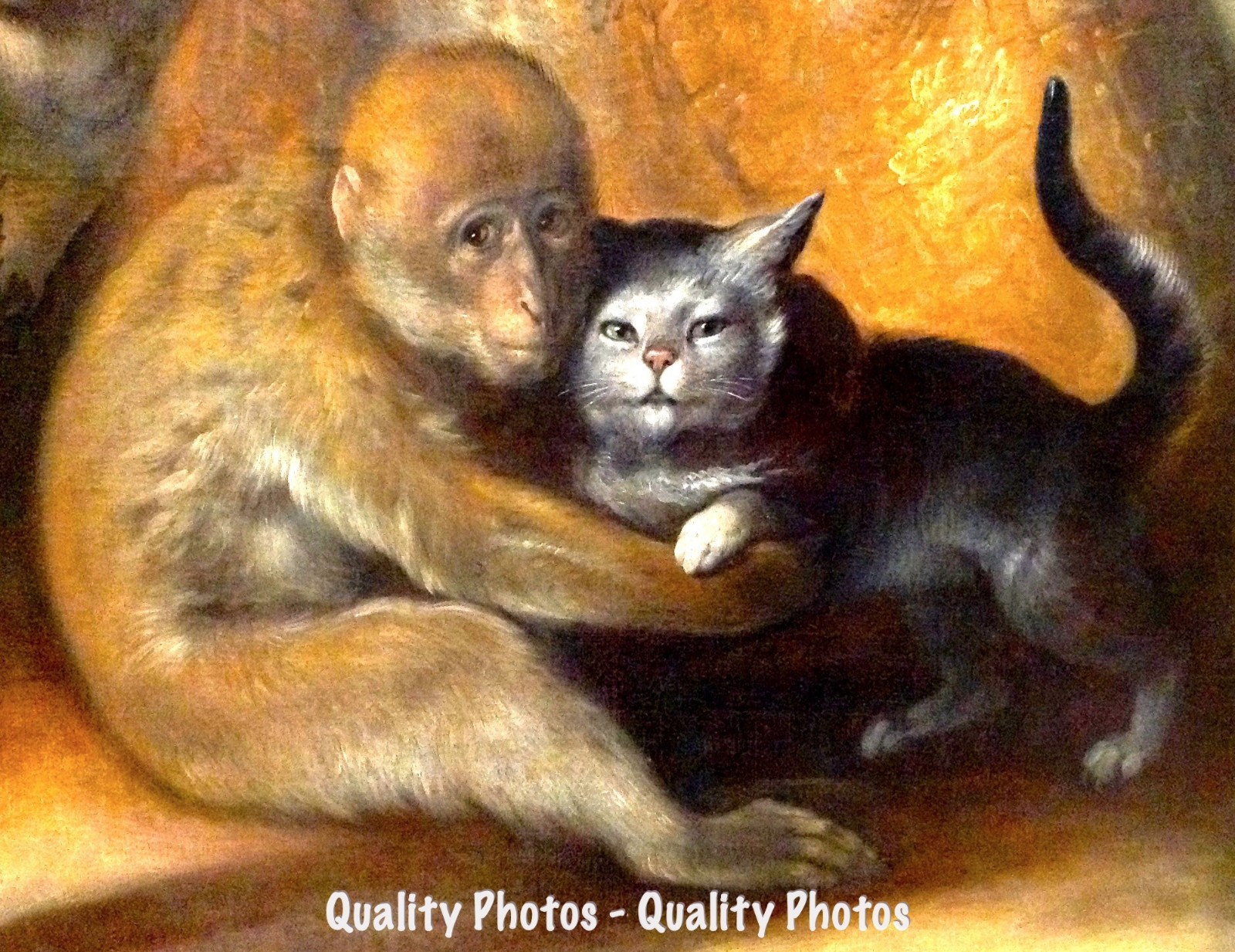 Monkey Holds Cat 8.5x11" Photo Print Cornelis van Haarlem Fine Pet ...