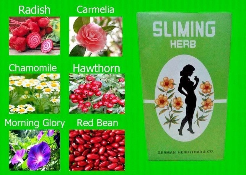 50 bag Slimming Herb (German) Sliming Tea Burn Diet Slim Fit Fast Detox ...