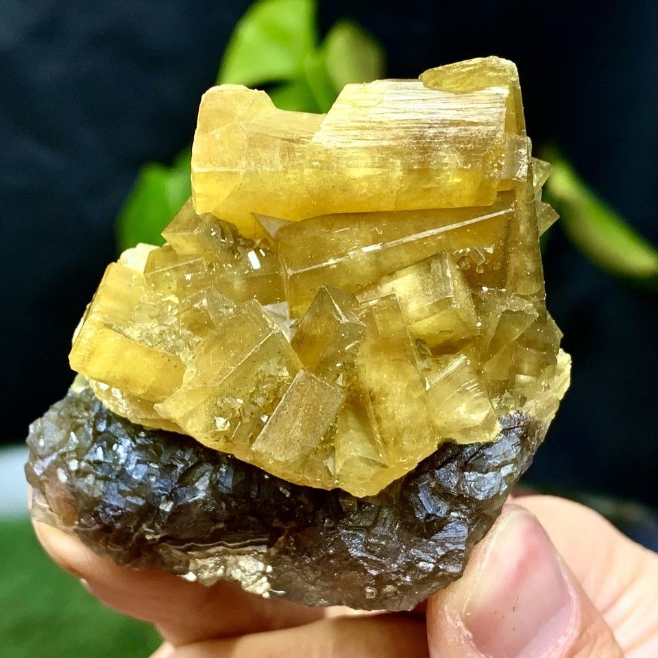 159G Shiny Golden Cuboid Barite Crystal Based on the Purple Spherical ...