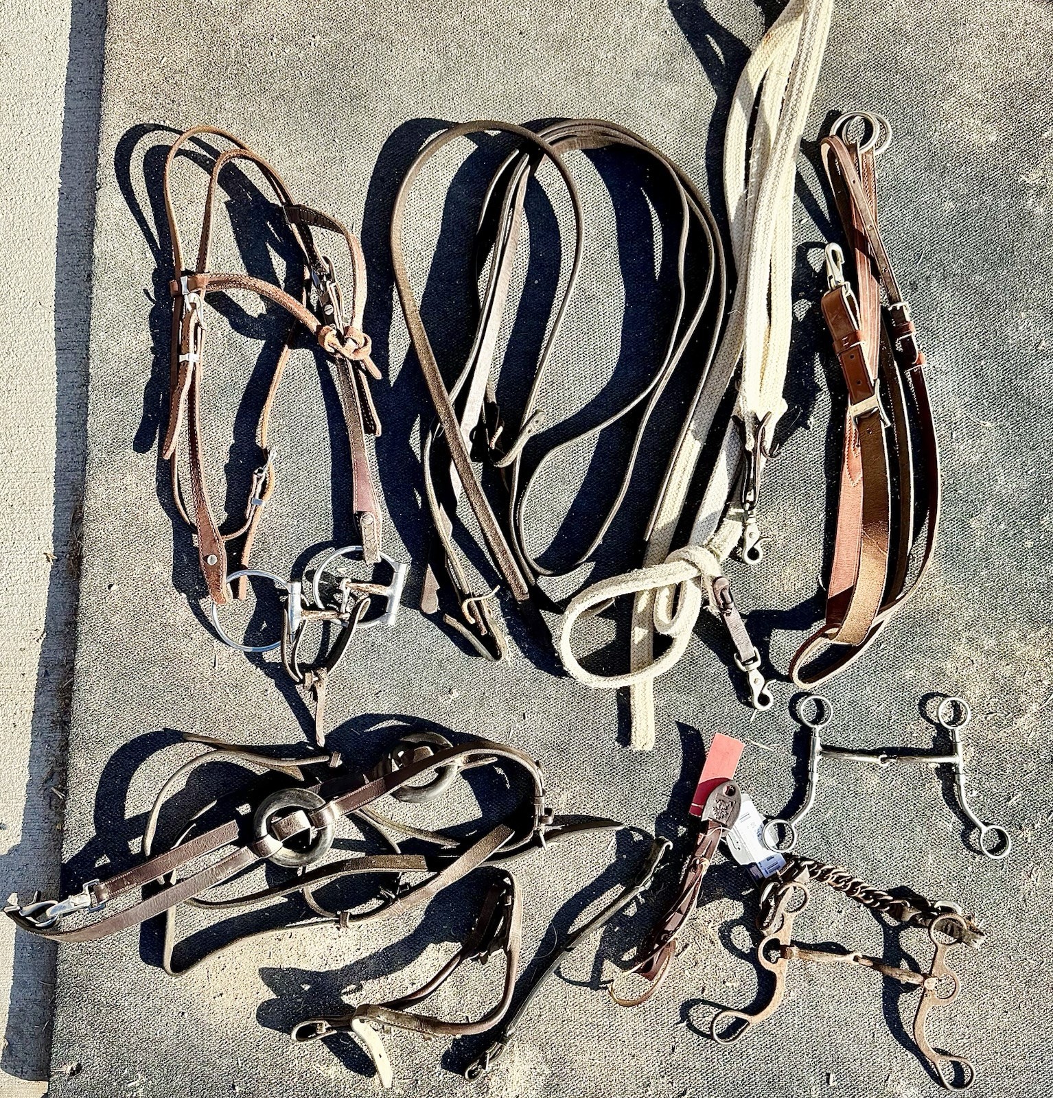 Used Horse Tack Lot - Reinsman Snaffle Bridle Leather Split Reins Western Bits | eBay