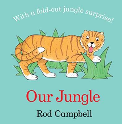 Our Jungle By Rod Campbell | eBay