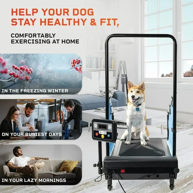 Lifepro Paw Runner Dog Treadmill Equipment for S & M Dogs Agility ...