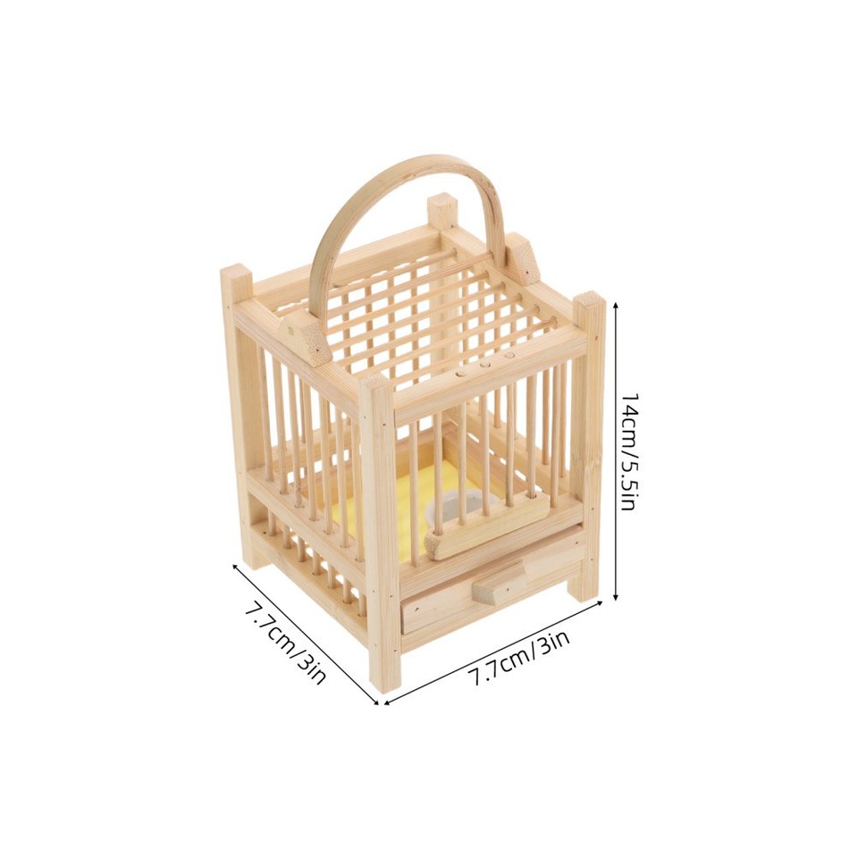 Insect Observation Box: Cricket Wooden House - Bamboo Critter Keeper ...