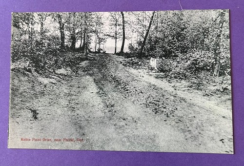 Kettle Point Drive Near Forest ON - Vintage Unused Postcard | eBay