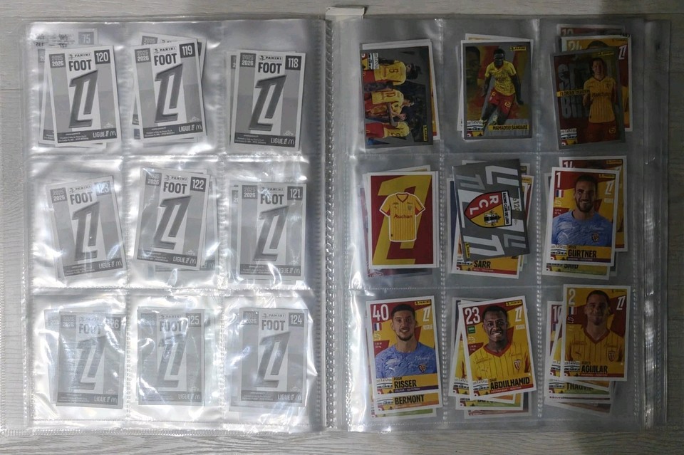 PANINI FOOT 2026 - ALBUM LIGUE 1 COMPLET 556 images dans classeur ...