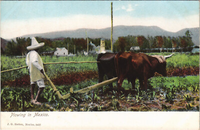 PC MEXICO, PLOWING IN MEXICO, Vintage Postcard (b42208) | eBay