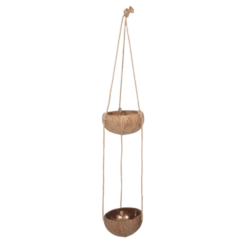 Coconut Planter: Indoor Hanging Planter - Coconut Shell Hanging ...