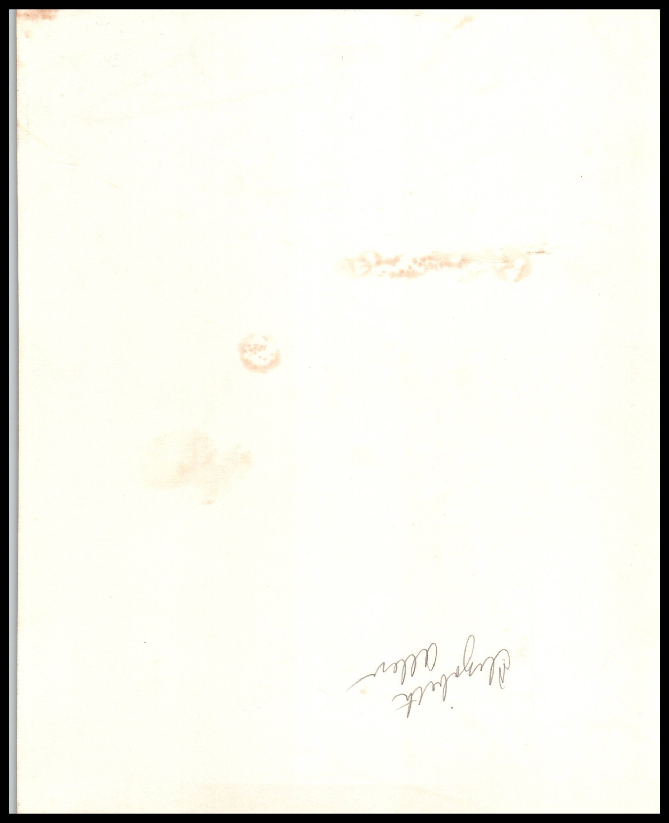 Hollywood Beauty ANN LORING STUNNING PORTRAIT STYLISH POSE 1930s Photo ...