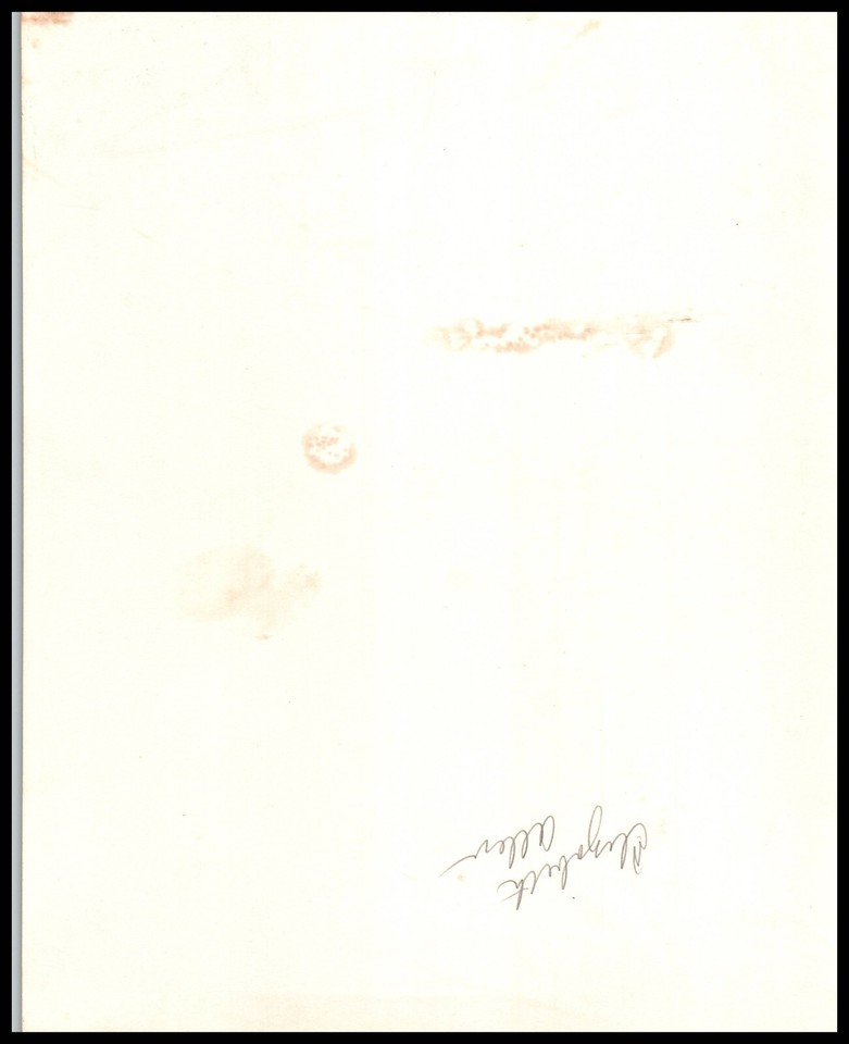 Hollywood Beauty ANN LORING STUNNING PORTRAIT STYLISH POSE 1930s Photo ...