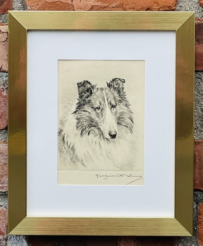 1930’s Signed Collie Dog Drypoint Etching. Dog Portrait Artist ...