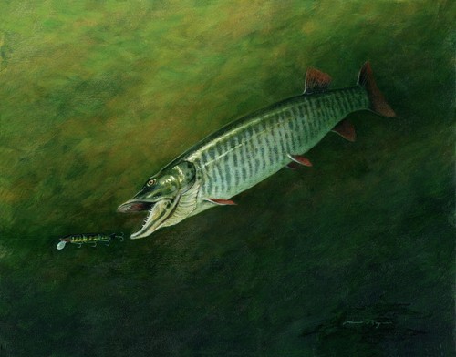 Michael Ringer Giclee' print "Muskie - The Strike" | eBay