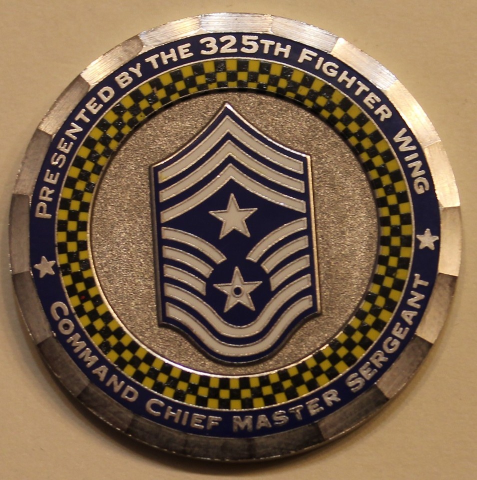 325th Fighter Wing F-15 Eagle F-22 Raptor Command Chief Air Force ...