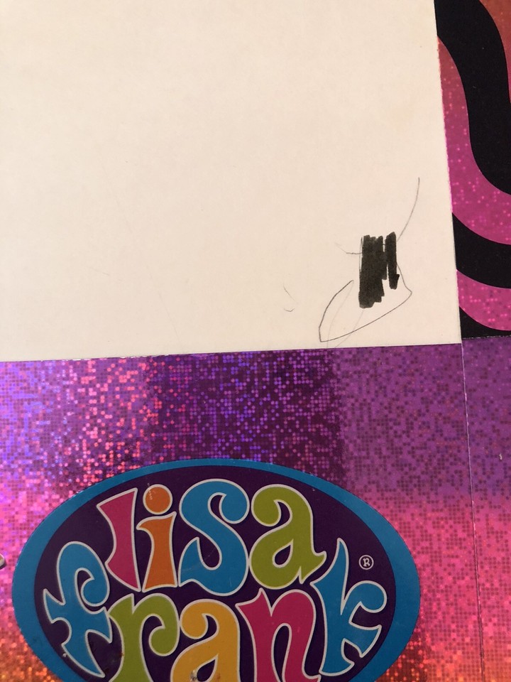 Lisa Frank Forrest Tiger Folder 3 Ring 2 Pocket Unpunched 2002 | eBay