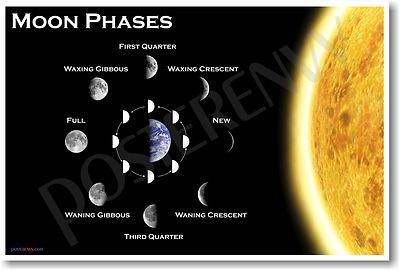 Moon Phases - NEW EDUCATIONAL TEACHER CLASSROOM SCIENCE SPACE ASTRONOMY ...