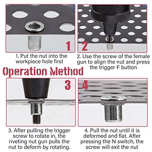 SAE Stainless Steel Rivet Nuts Threaded Insert Rivnuts (Assortment Kit ...