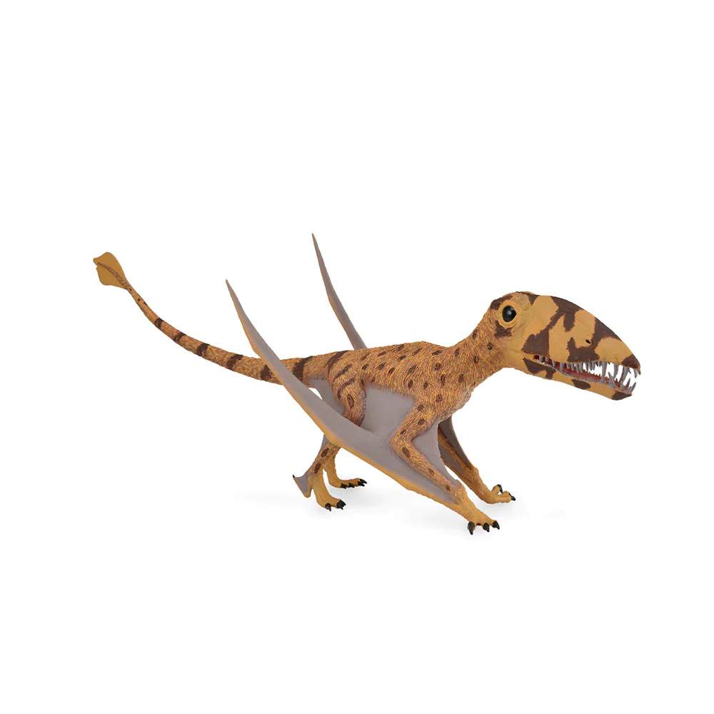 CollectA Realistic Animal Replica Dimorphodon Figure Deluxe with ...