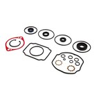 OEM GENUINE Hydro Gear 2PK Gasket Pump Seal Kit for Lawn Mowers 70525 ...