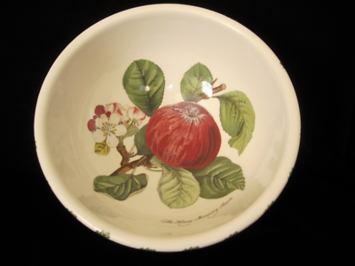 EUC Portmeirion POMONA Berry Fruit Dessert Bowl ENGLAND Hoary Morning ...
