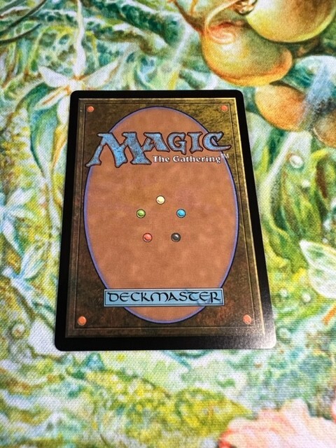Elusive Otter (Showcase) MTG: WOE *Pack Fresh* | eBay