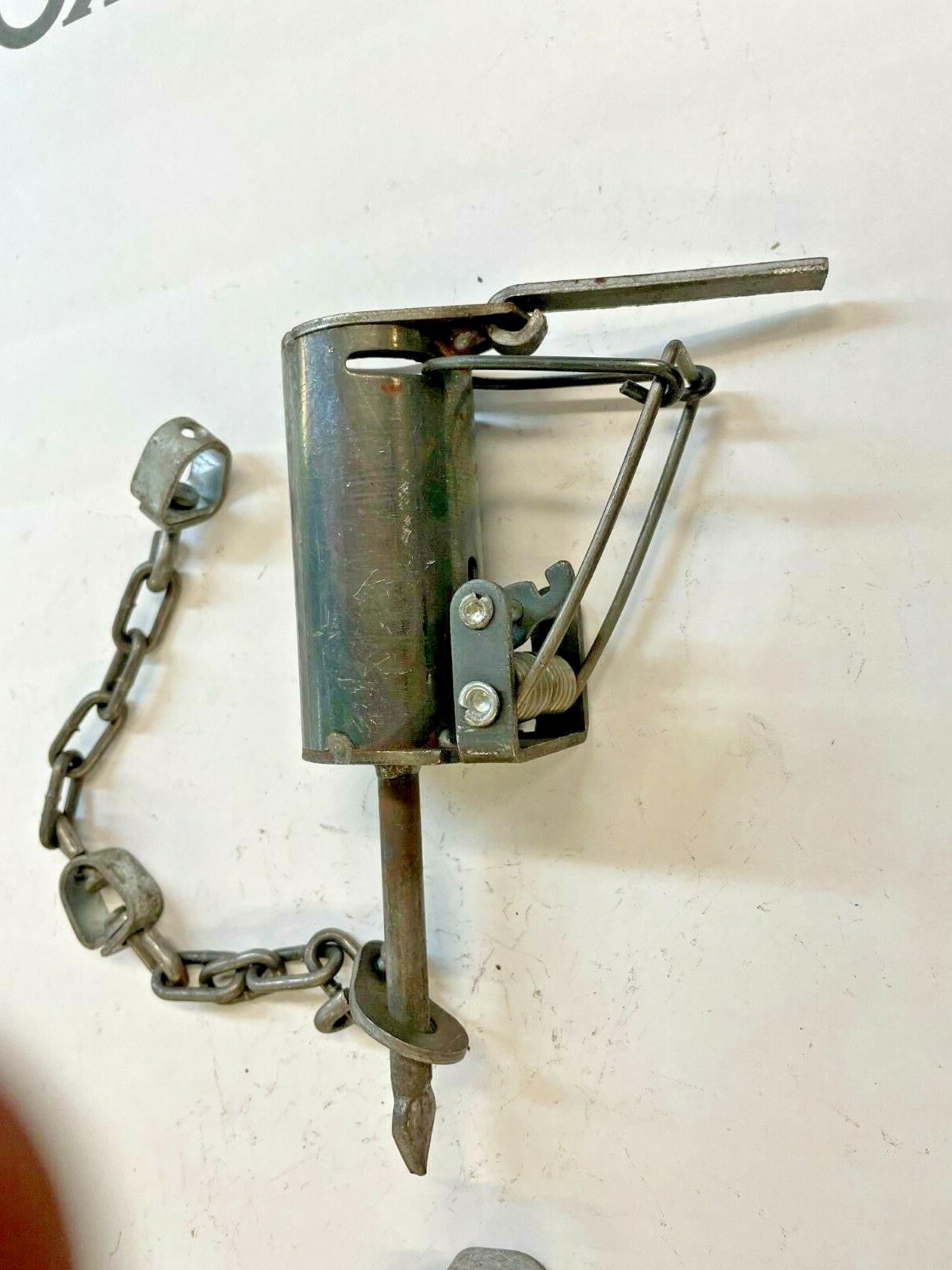 6, Brand New Cold Creek, Dog proof raccoon traps, coon, DP with setting ...