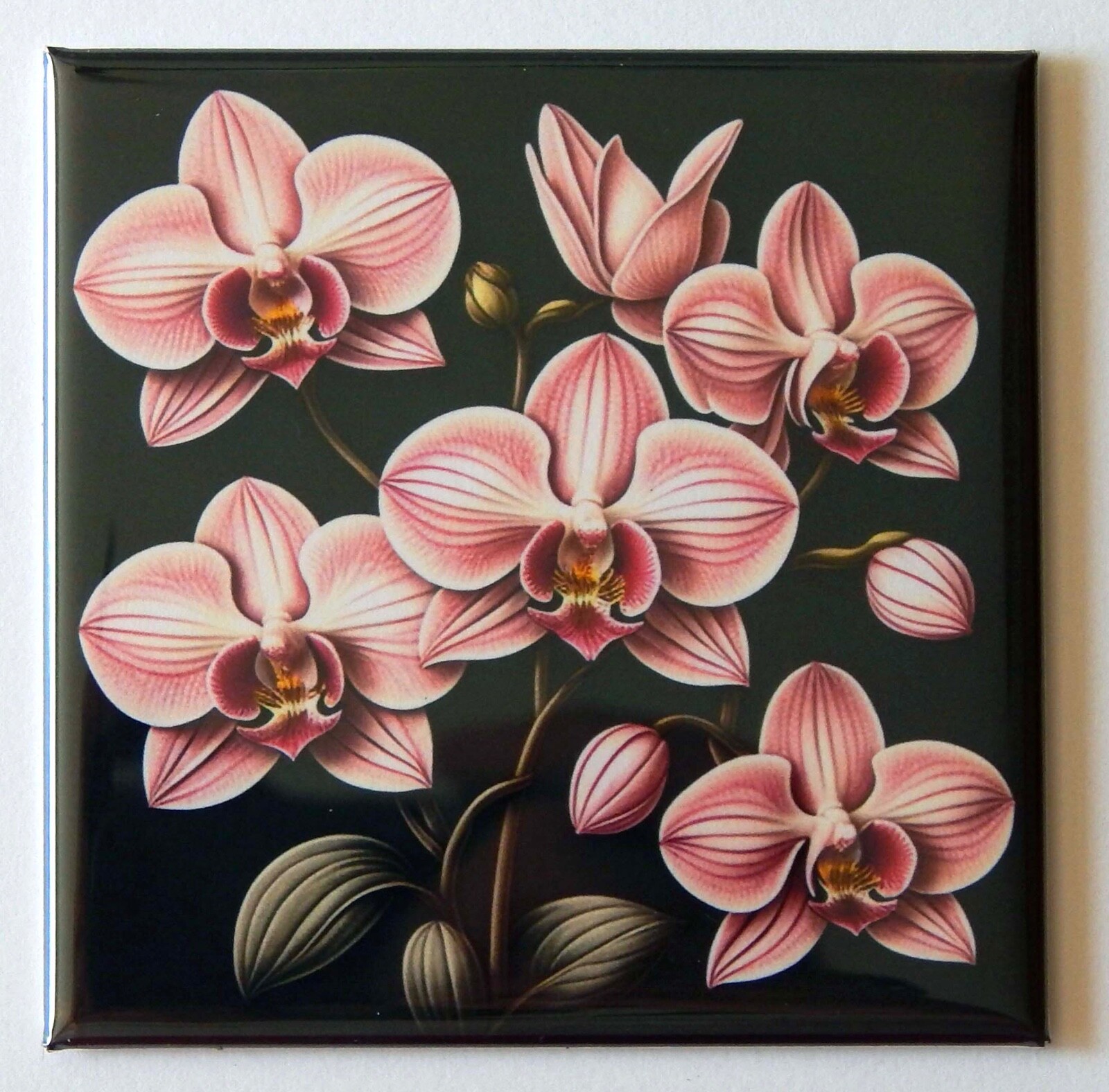 Pink Orchids FRIDGE MAGNET gardening flowers "style A" | eBay