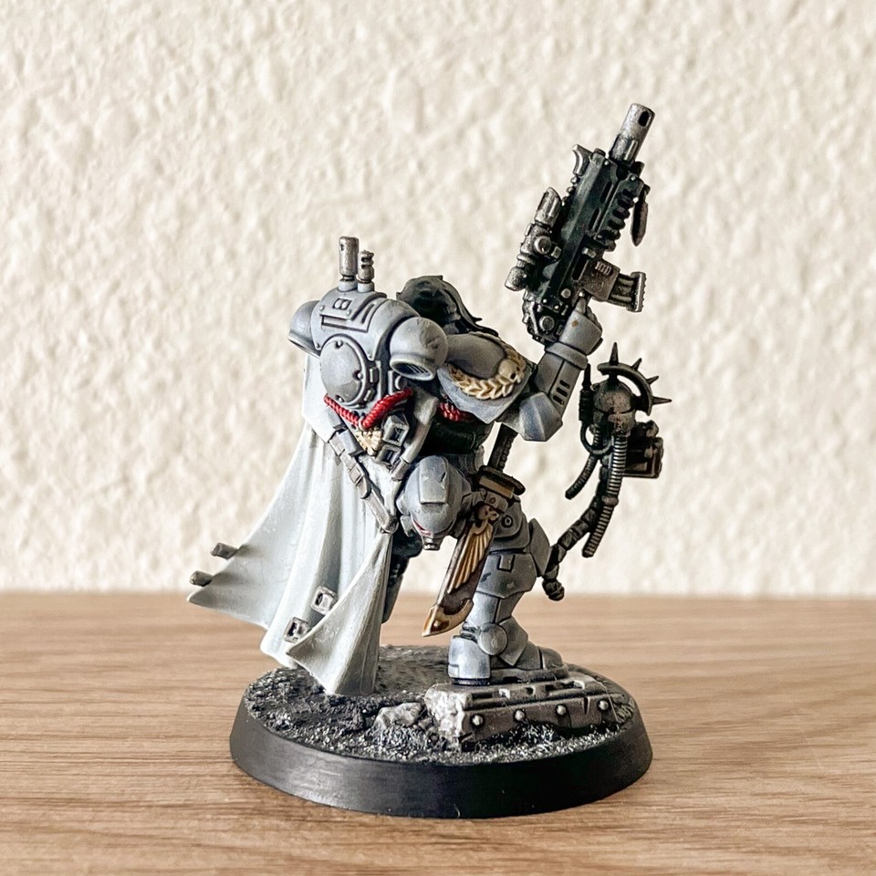 Warhammer 40k Primaris Marines - Painted Space Wolves Army - (242) | eBay