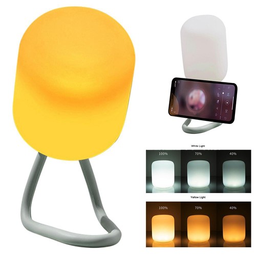 Portable LED Night Light Dimmable Outdoor Camping Tent Hanging Lamp ...