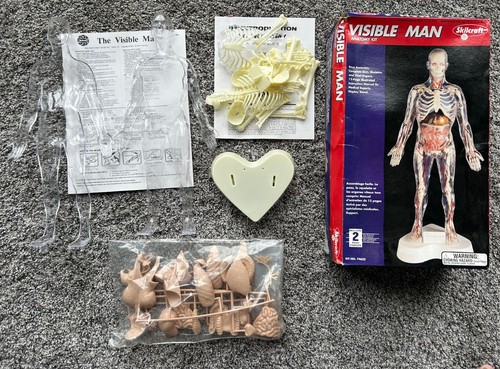 Skilcraft Visible Man Human Anatomy Plastic Model Kit Model #74622 Free ...