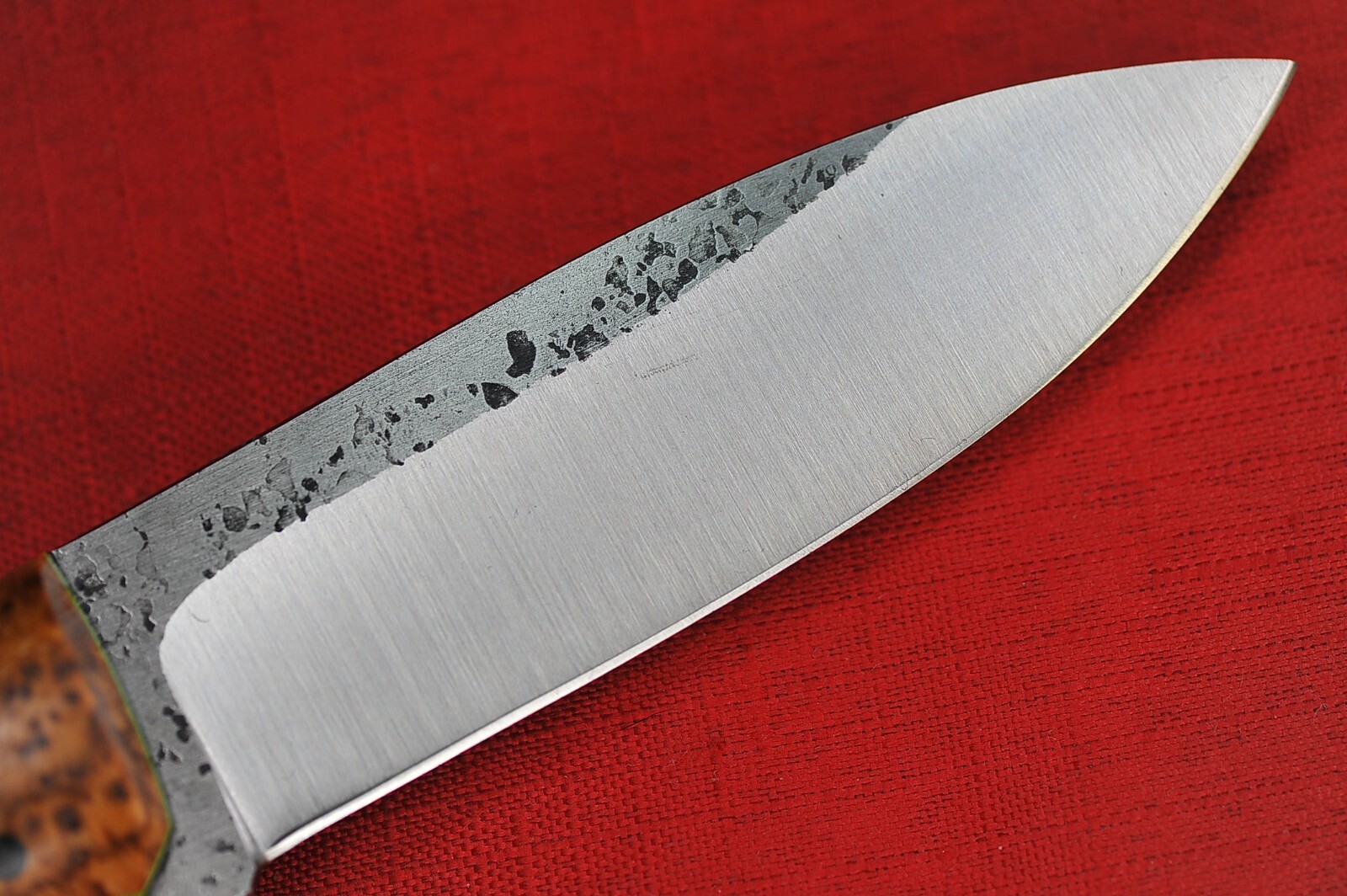 Fiddleback Forge Bushcrafter by Andy Roy .15" A2 Blad, Full Birdseye ...