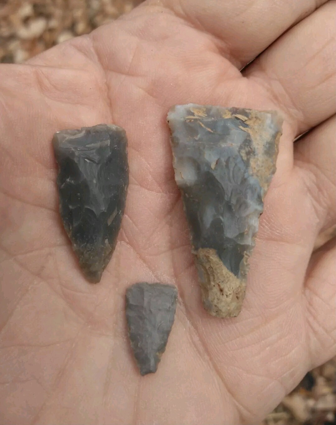 Madison Arrowheads, Three, Lafayette Indiana, 5/8"-1 5/8", Authentic ...