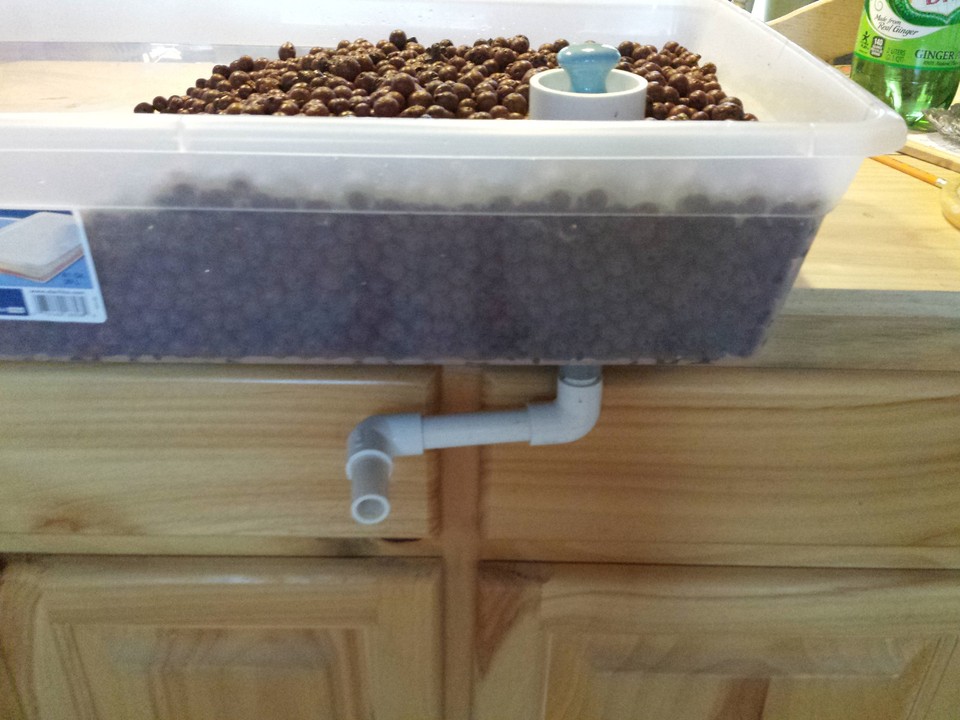 Aquaponic Bell Siphon Kit 6" MEDIA Mini Garden Dutch Bucket 10,000 ...