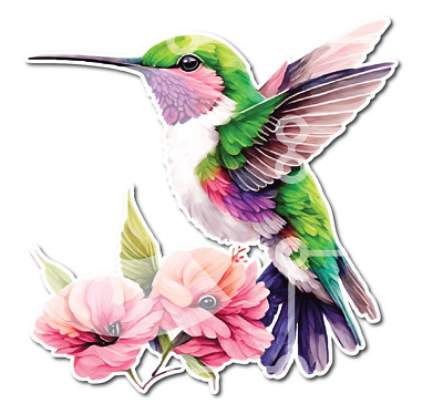 Playful Hummingbird vinyl decal Sticker, Window Car Laptop decal | eBay