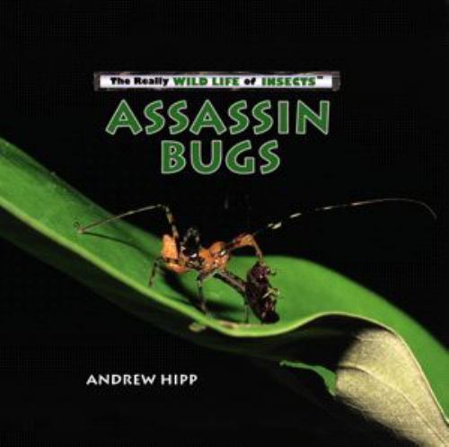 Assassin Bugs by Andrew Hipp (2002, Library Binding) for sale online | eBay