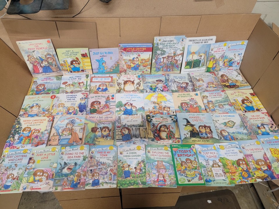 Lot of 10 Little Critter Mercer Mayer Picture Children Kids Books - MIX ...